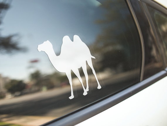 Camel Decal / Camel Sticker / Cute Camel / Camel Lover / Car | Etsy