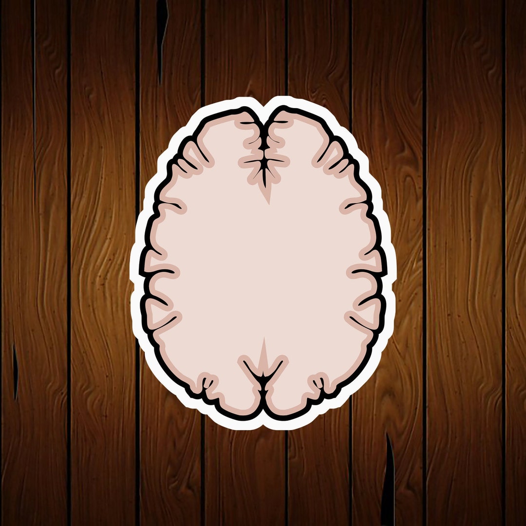 Brain Cookie Cutter Neurology Cookie Cutter Brain Scan Cookie Cutter ...