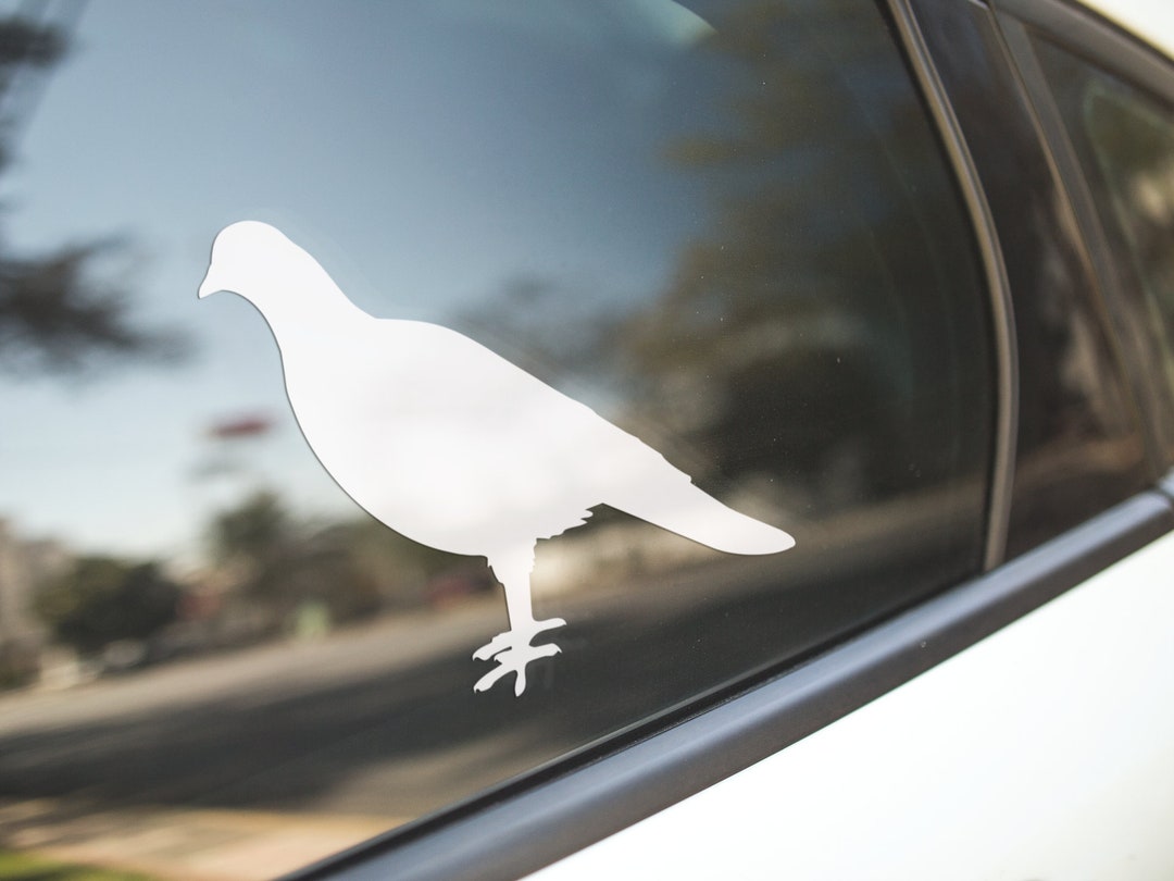 Pigeon Decal / Pigeon Sticker / Cute Pigeon / Car Decal / Laptop Decal ...