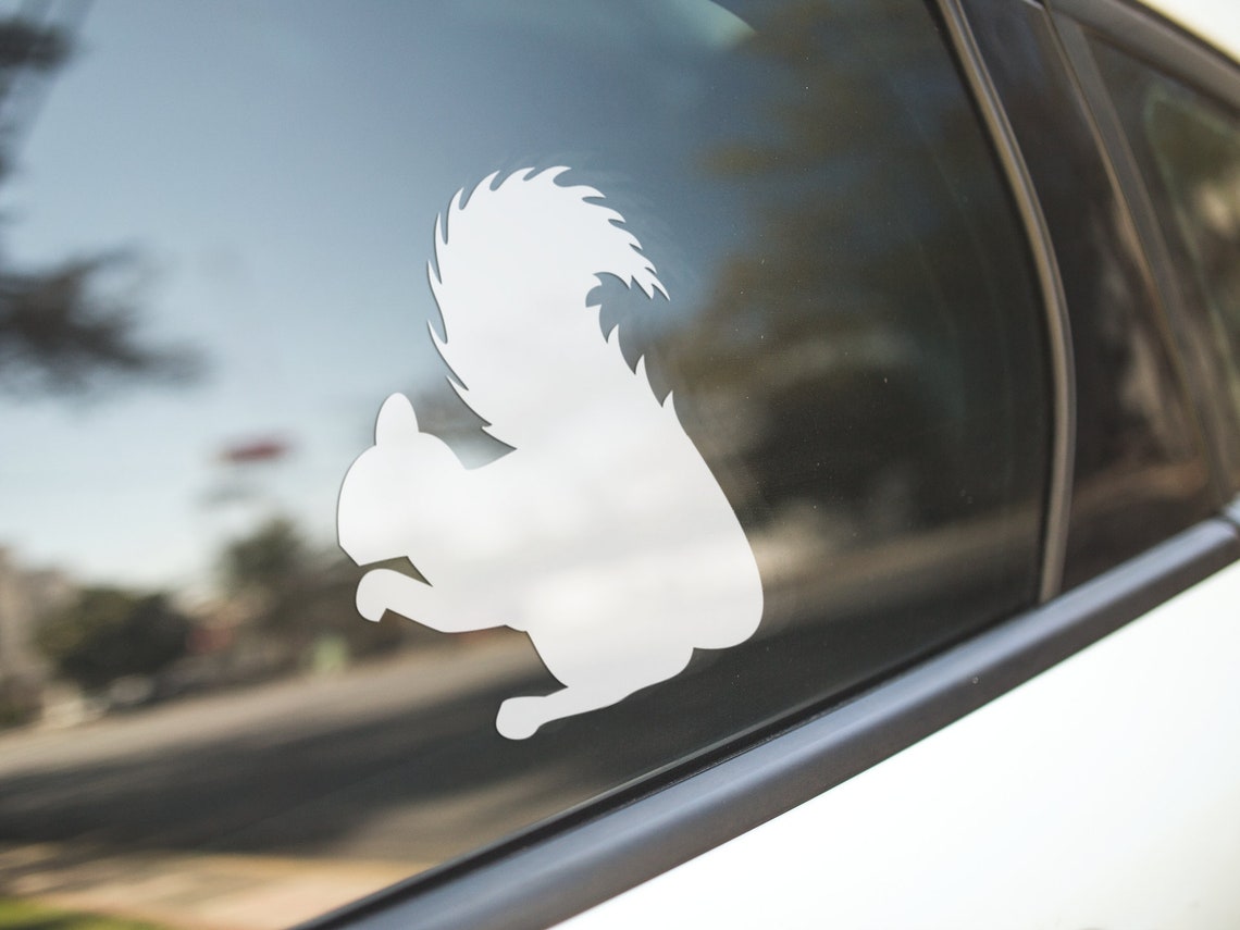Squirrel Decal / Squirrel Sticker / Squirrel Gift / Car Decal - Etsy