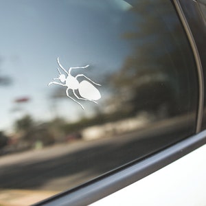 Ant Decal / Ant Sticker / Cute Ant / Pest Exterminator / Pest | Etsy