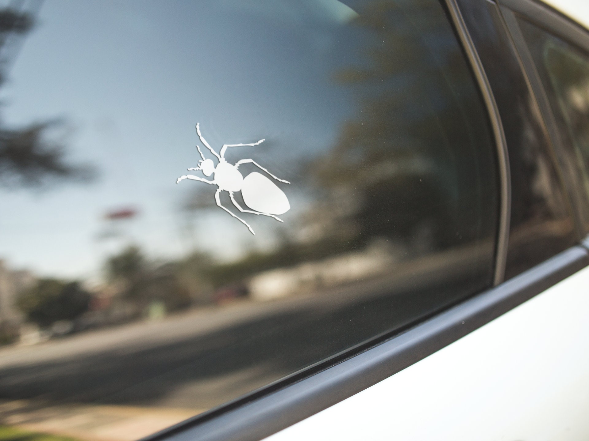 Ant Decal / Ant Sticker / Cute Ant / Pest Exterminator / Pest - Etsy