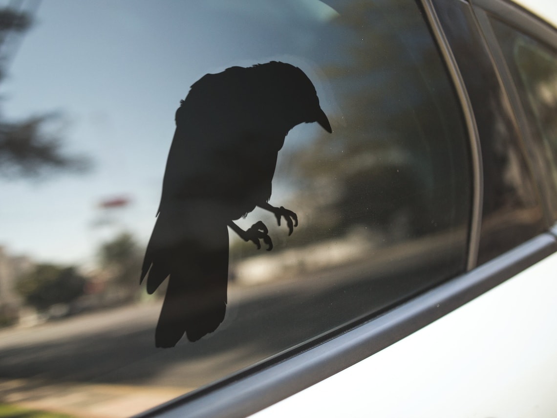 Crow Decal / Crow Sticker / Raven Decal / Raven Sticker / Car - Etsy