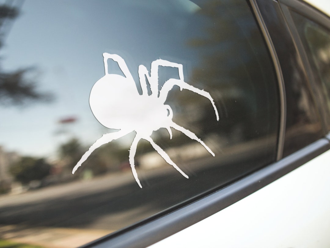 Spider Decal Spider / Pet Spider / Spider Gift / Arachnid Sticker ...