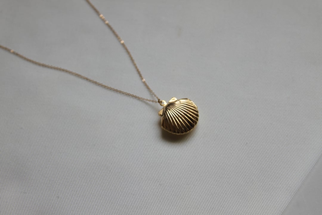 Sea Shell Locket - Etsy