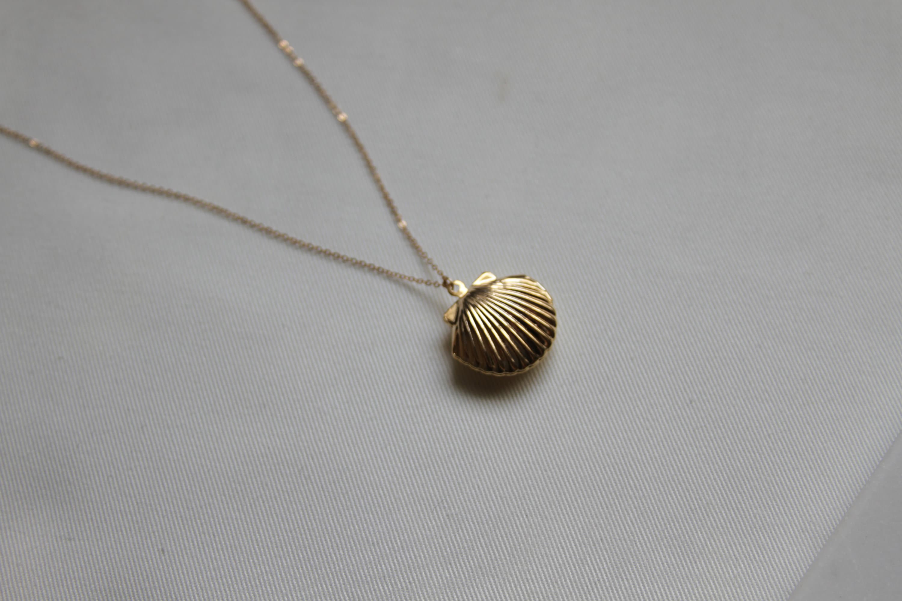 Sea Shell Locket - Etsy