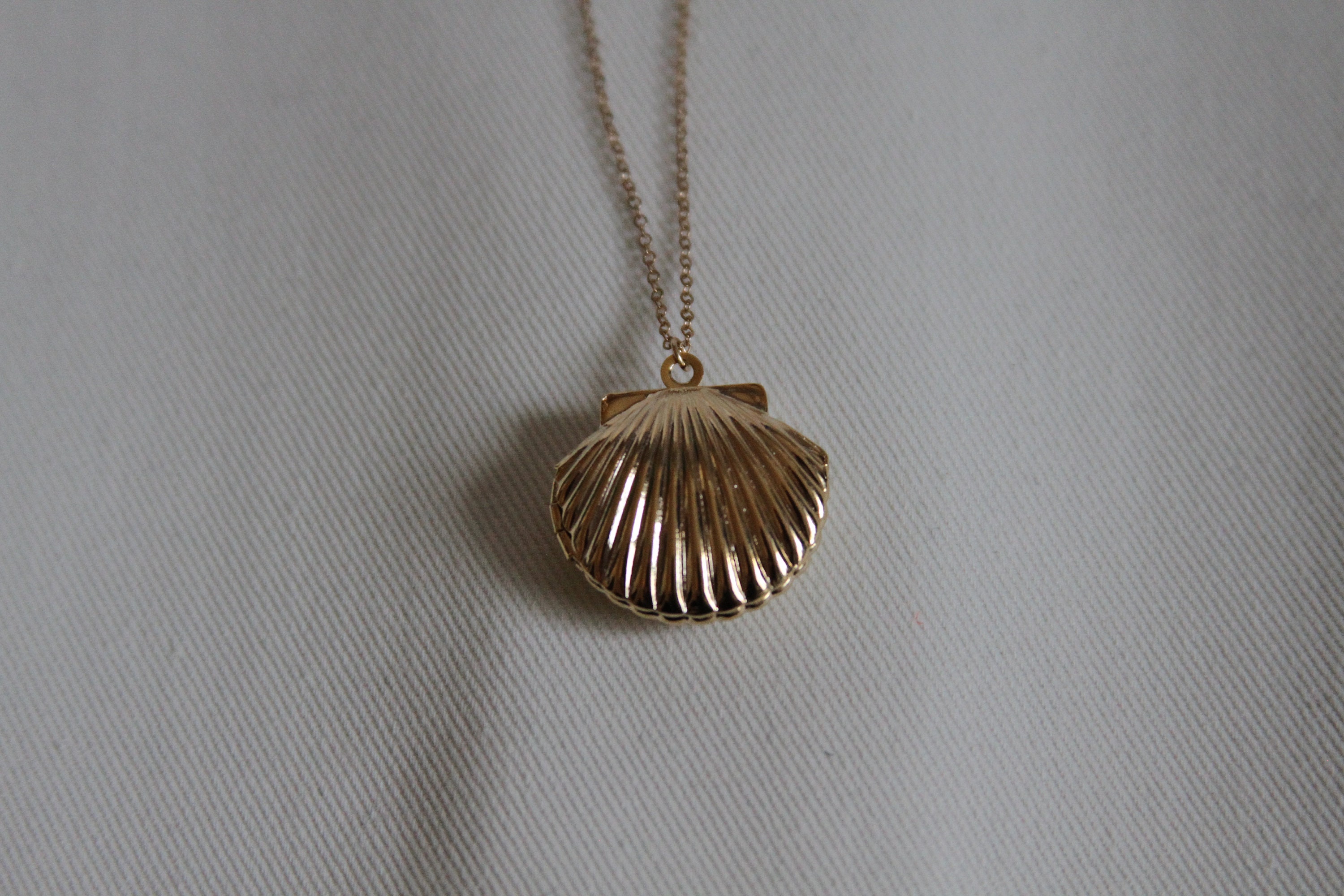 Sea Shell Locket - Etsy