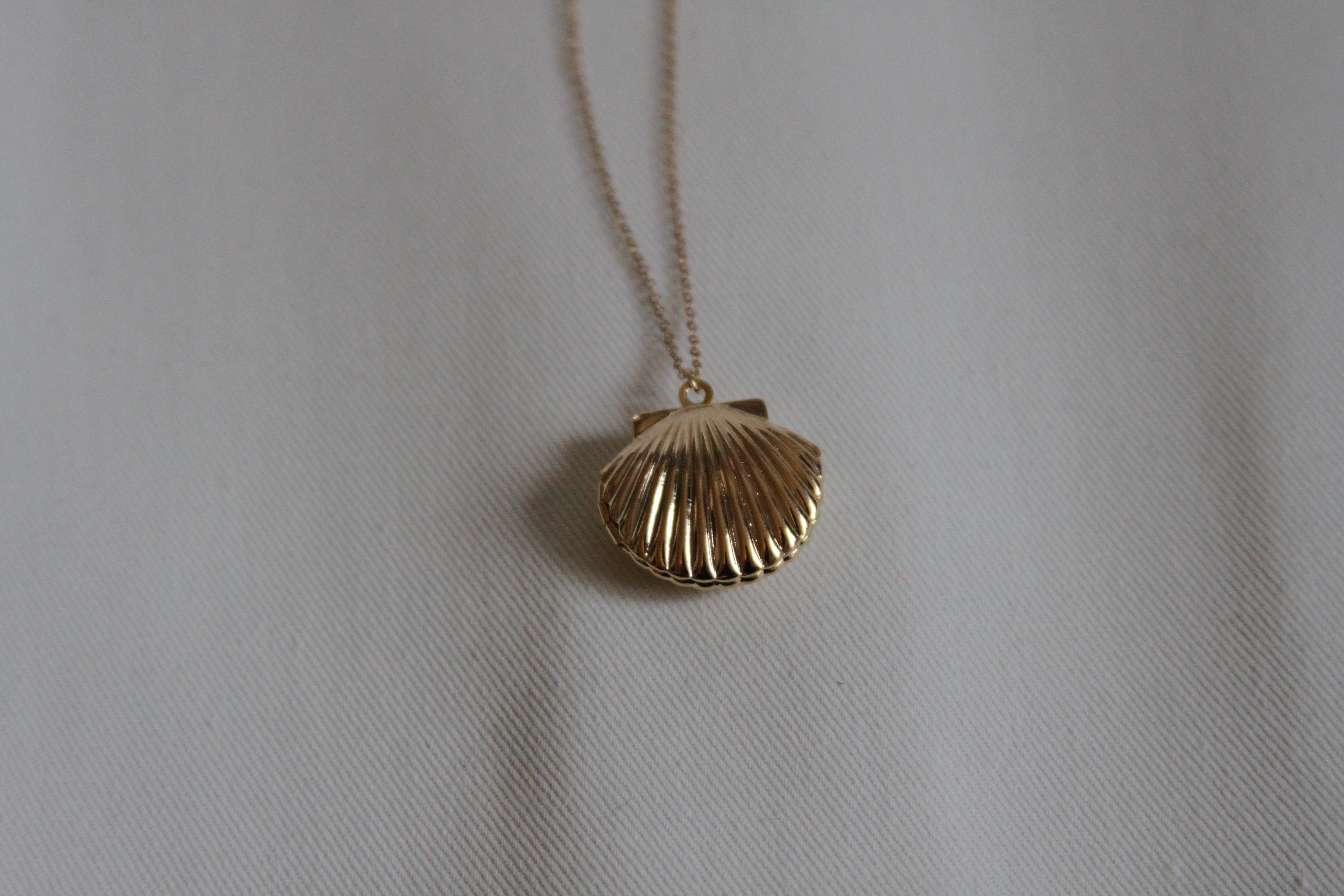 Sea Shell Locket - Etsy