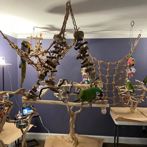 Parrot Play Stand - Etsy