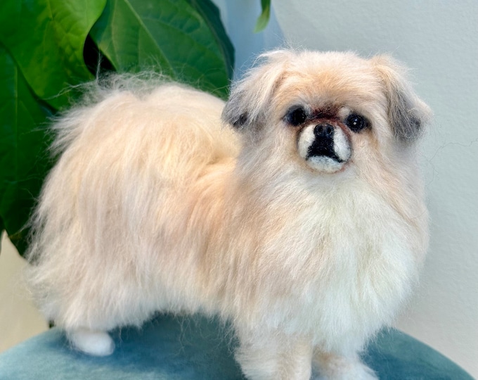 1935 Antique Pekingese Dog Art Print Lovely Malcolm Nicholson Pekingese ...
