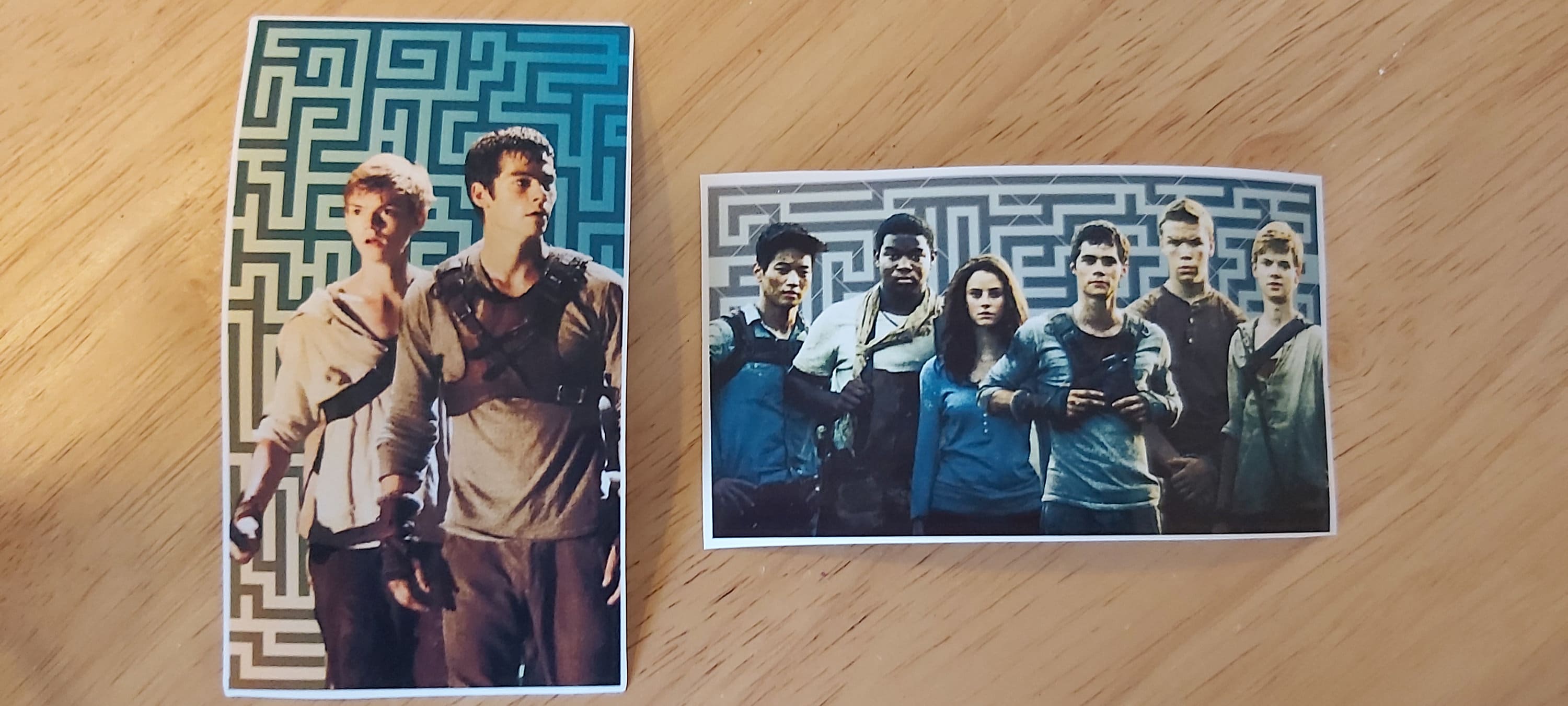 Maze Runner Vinyl Sticker Pack | Etsy
