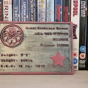 Hydra the Winter Soldier 3D Printed Sign - Etsy