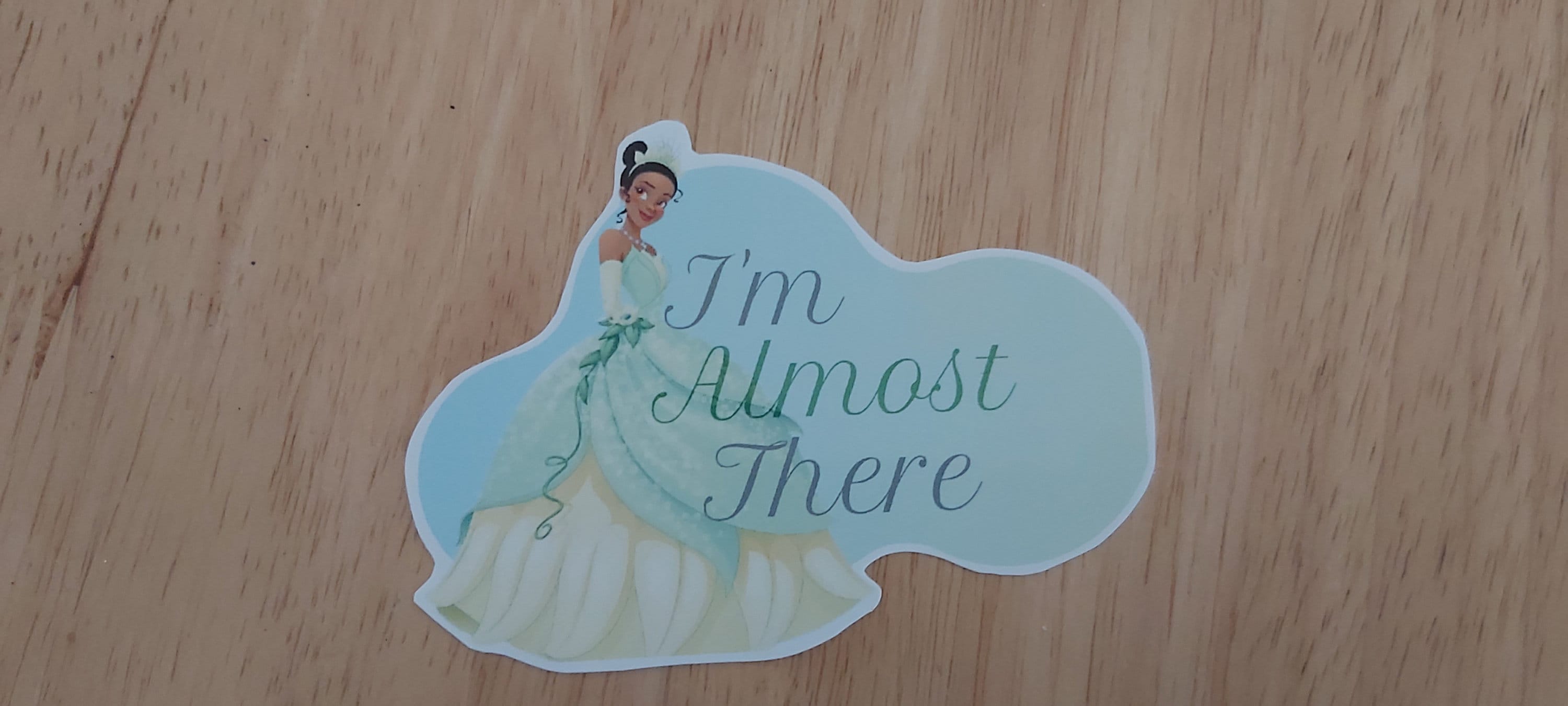 Disney Princess Vinyl Sticker Pack | Etsy