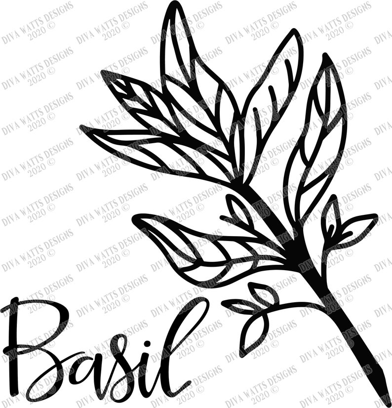 SVG Herbs Basil Rosemary Sage Oregano Cutting Files Set - Etsy