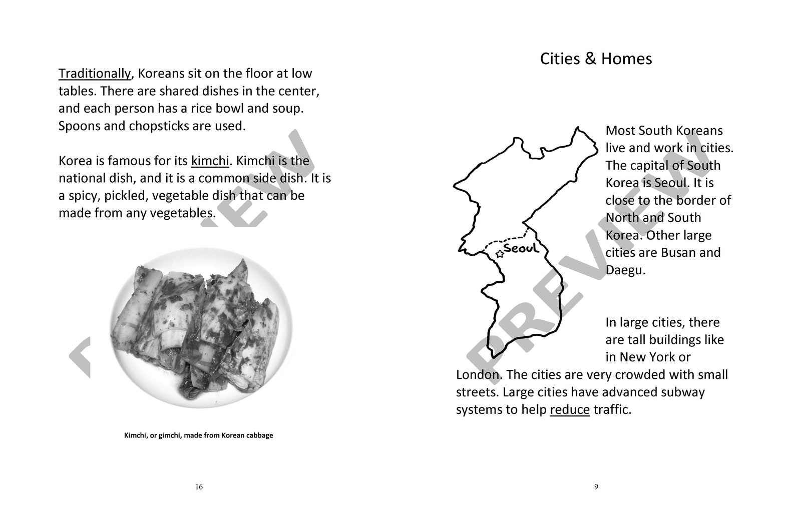 KOREA - A Study of South Korea Booklet Nonfiction Country Study - Etsy
