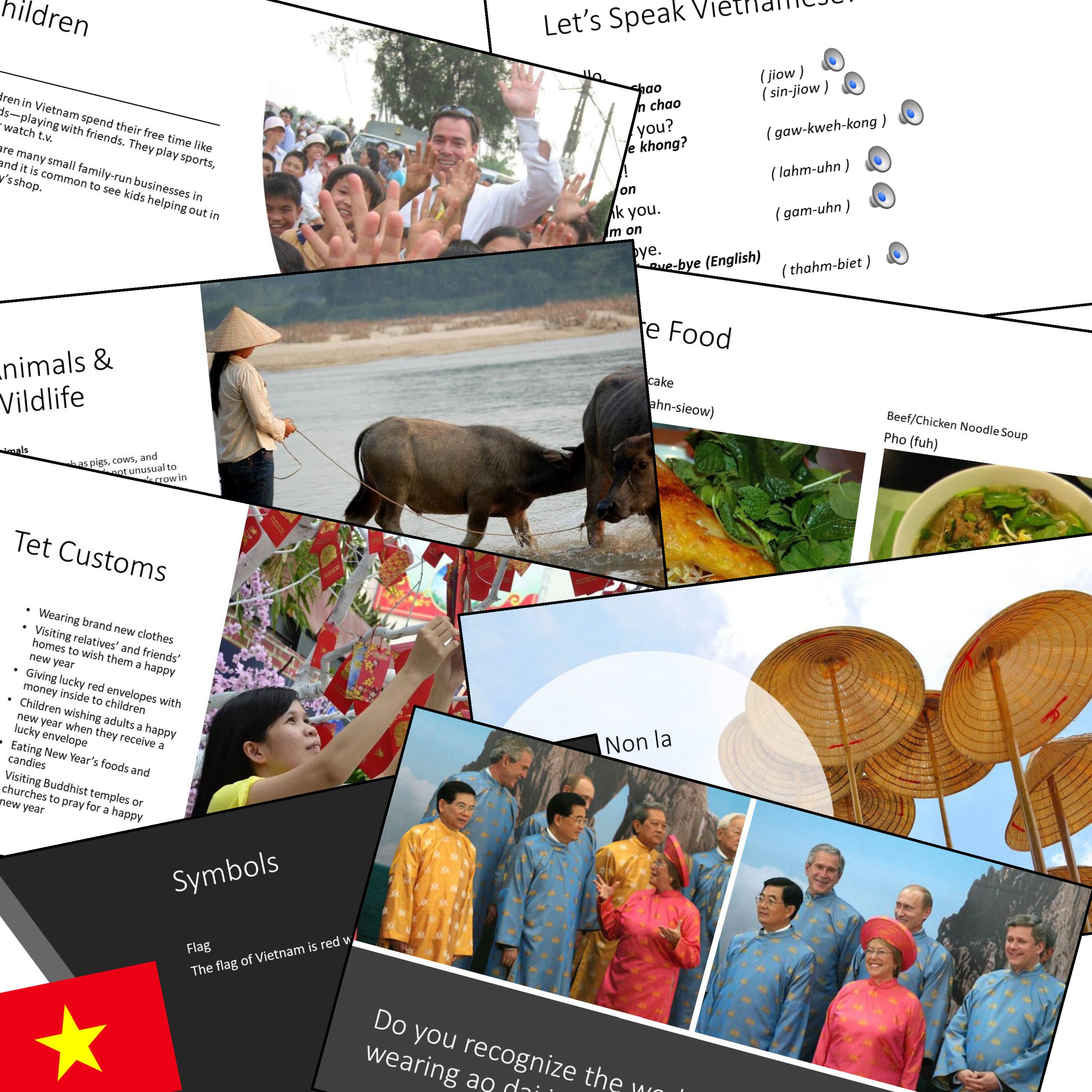 Vietnam A Country Study Powerpoint Presentation - Etsy
