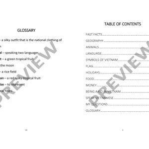 VIETNAM - Learn About Vietnam Booklet Nonfiction Country Study - Etsy