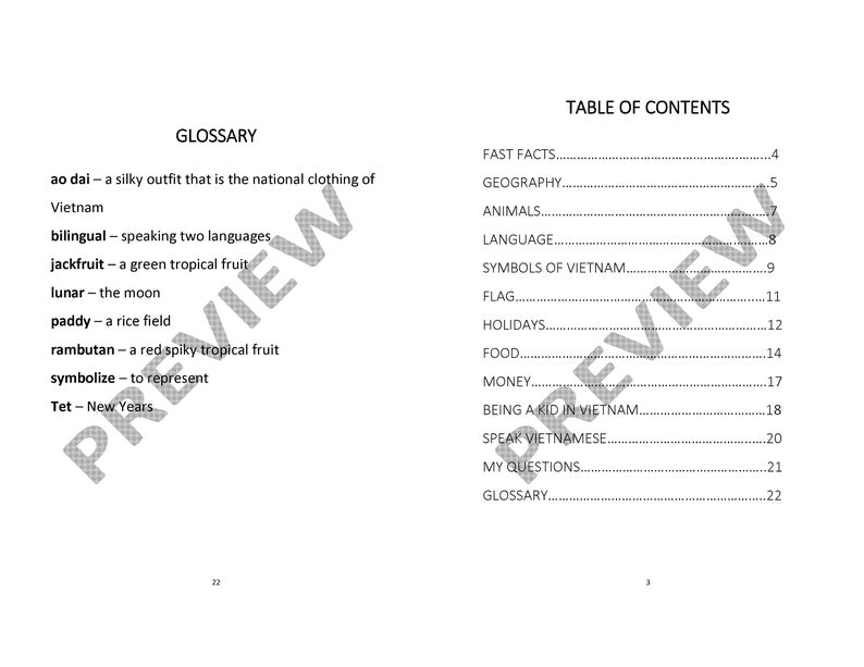 VIETNAM - Learn About Vietnam Booklet Nonfiction Country Study - Etsy