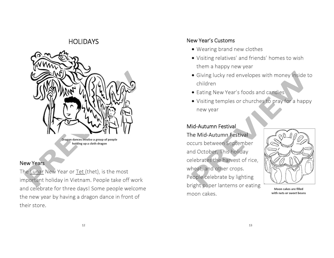 VIETNAM Learn About Vietnam Booklet Nonfiction Country Study | Etsy