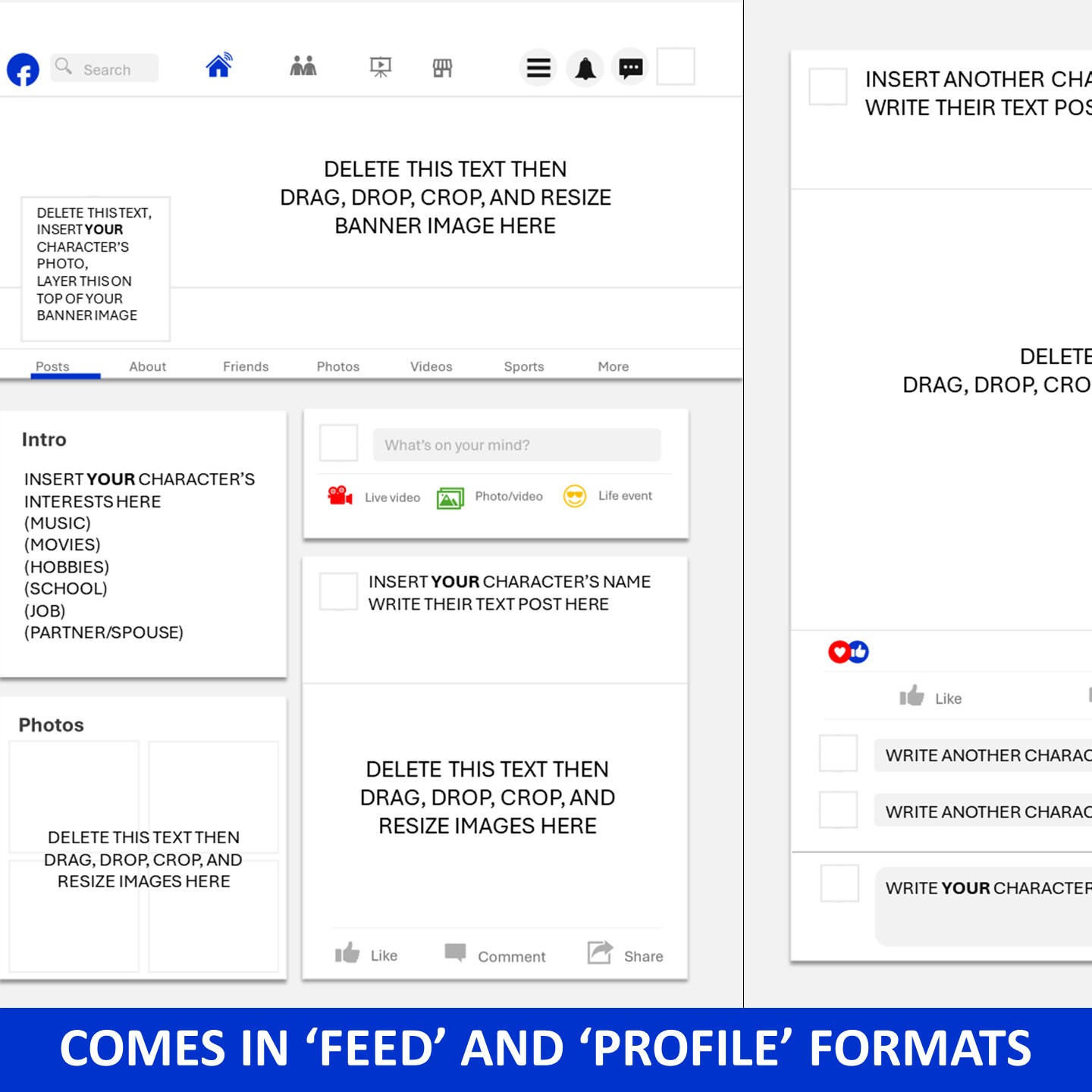 Facebook-inspired Character Study Profile Pages Template - Etsy