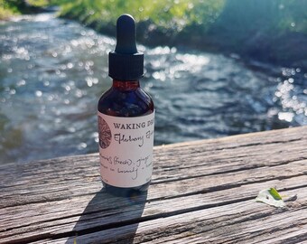 Elderberry Elixir - Etsy