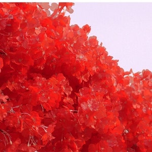 Red Floral Arch With Flowers, Flower Wedding Backdrop Arrangement - Etsy