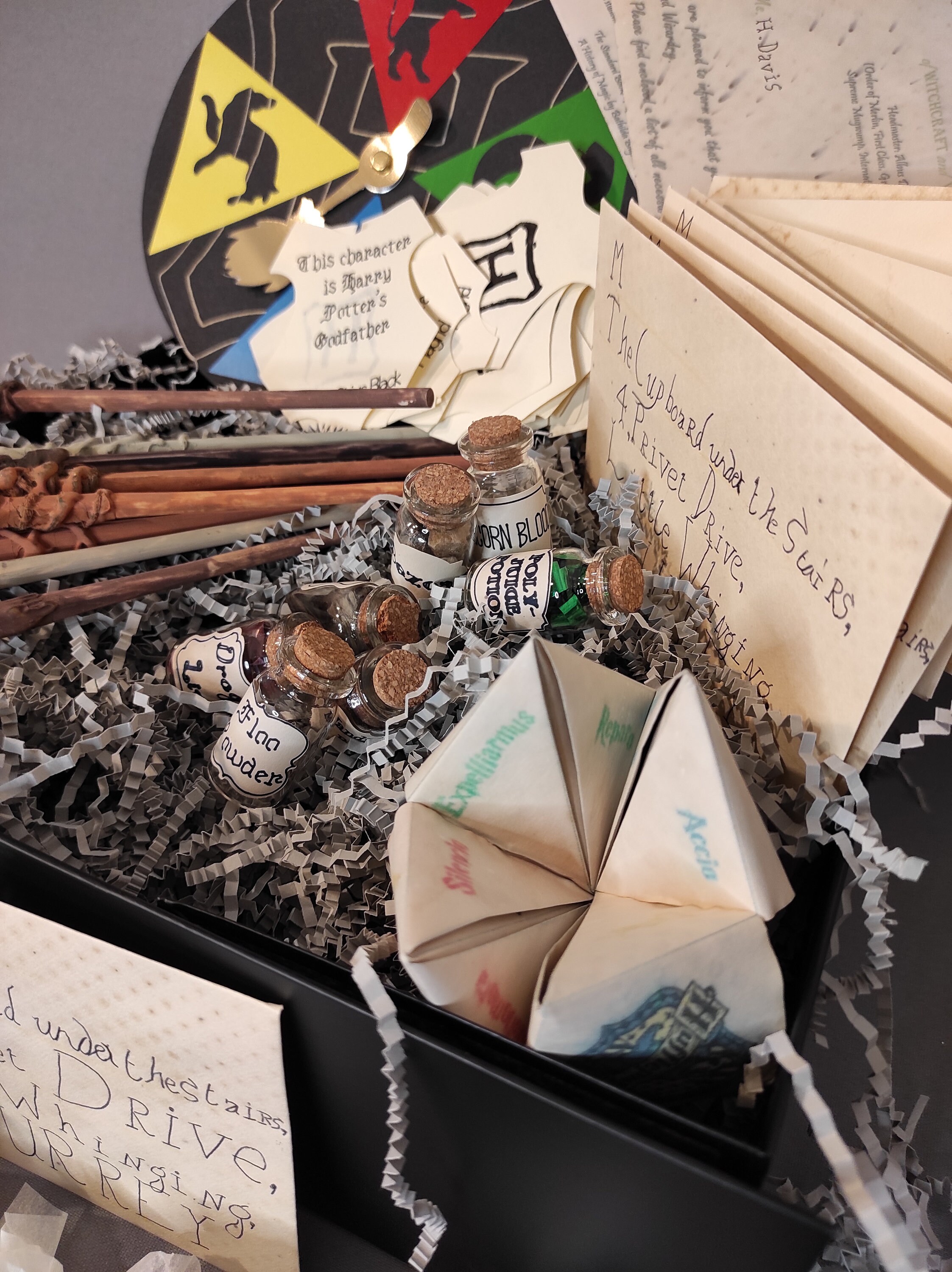 Harry Potter Inspired Witchcraft and Wizardry Sleepover Party Birthday ...
