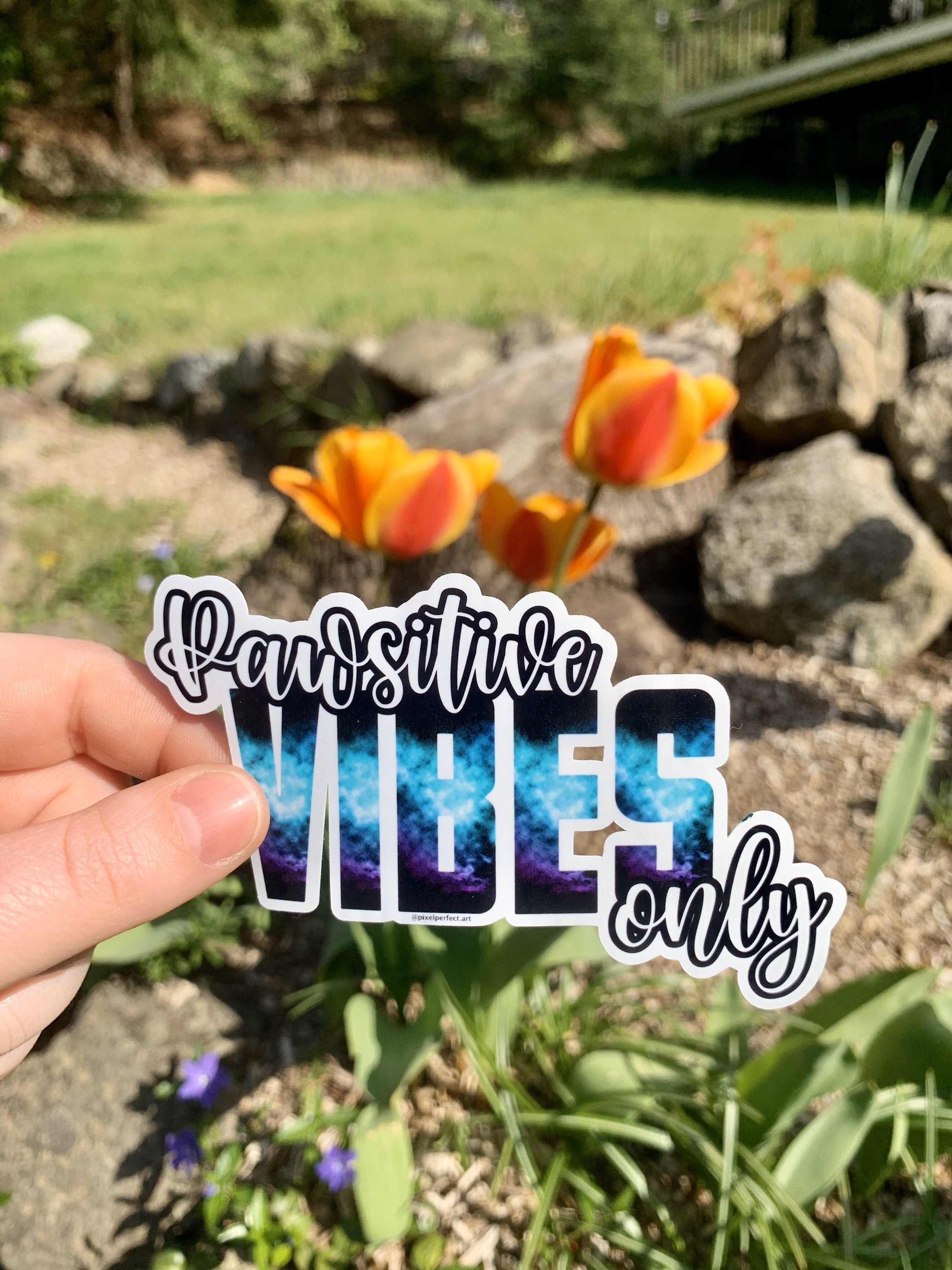 Pawsitive vibes only sticker | Etsy