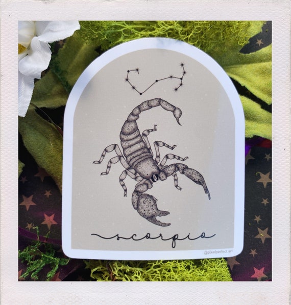 Scorpio Zodiac Sticker - Etsy