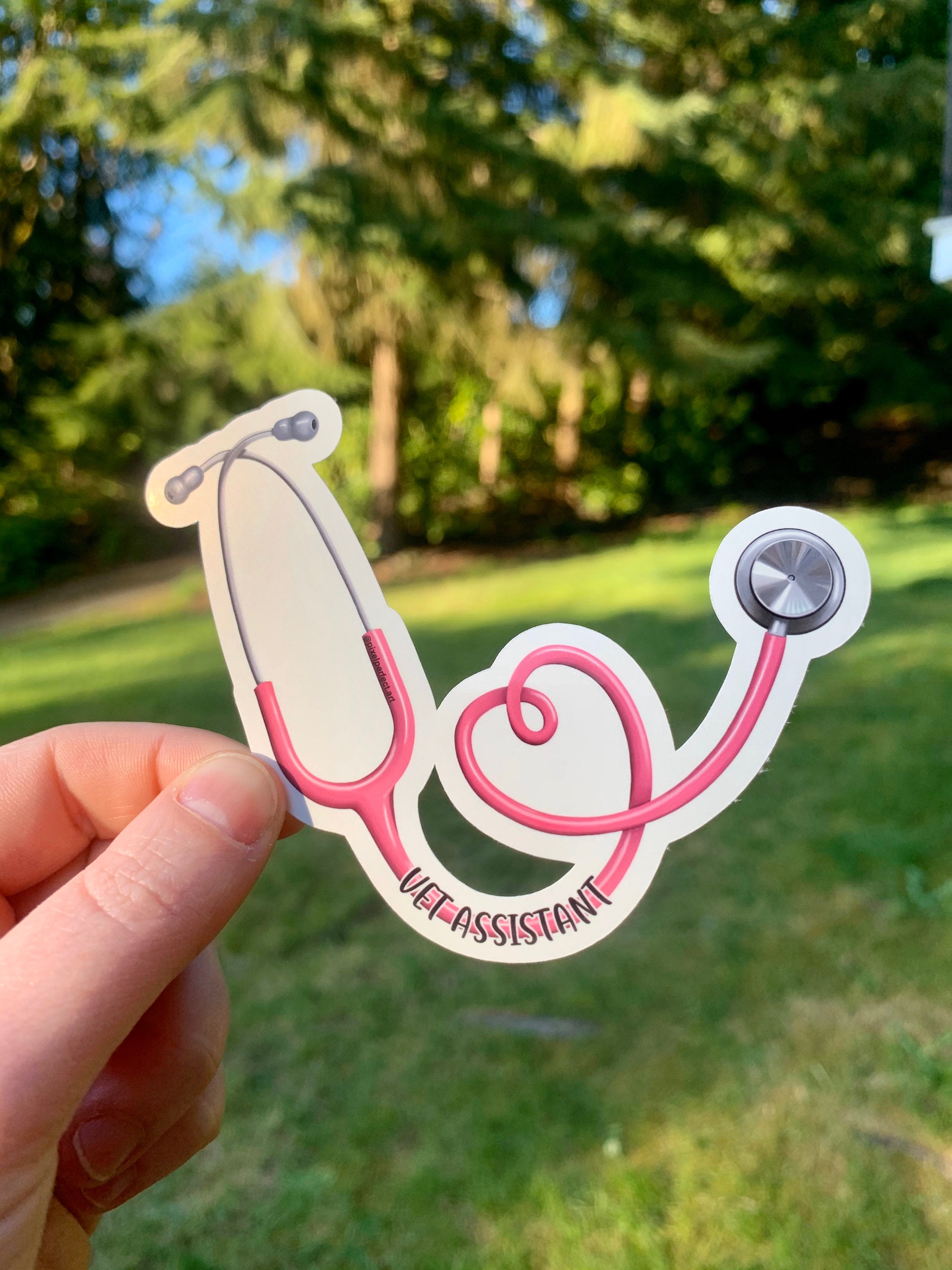 Customizable Stethoscope Sticker. Add a Name or Credentials by | Etsy