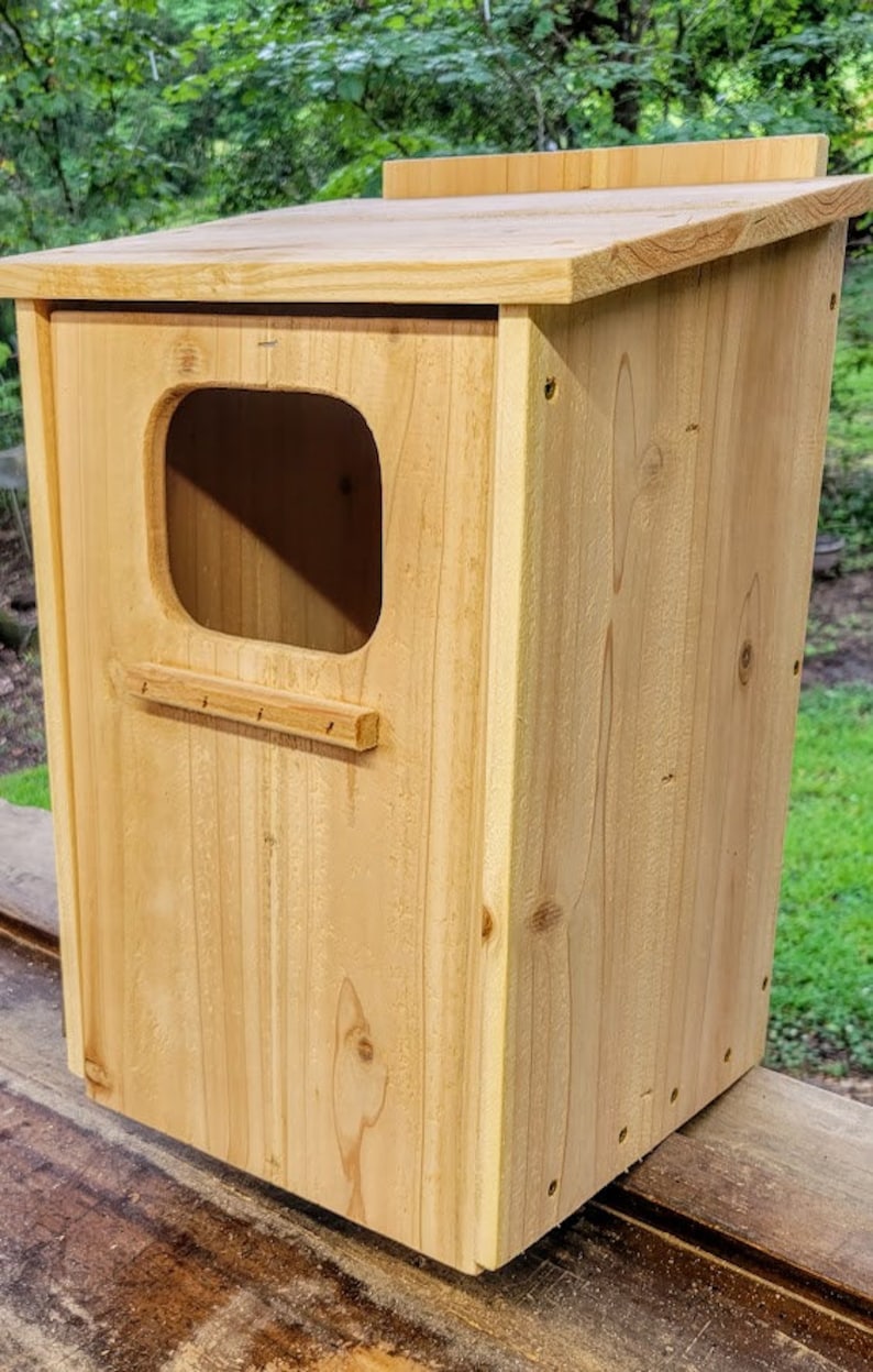 Black Bellied Whistling Tree Duck Nesting Box - Etsy