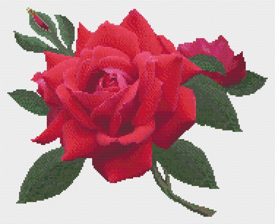 A Red Red Rose Counted Cross Stitch PDF Pattern - Etsy