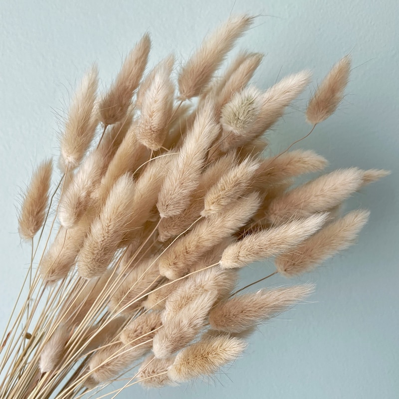 Bunny Tails - Etsy