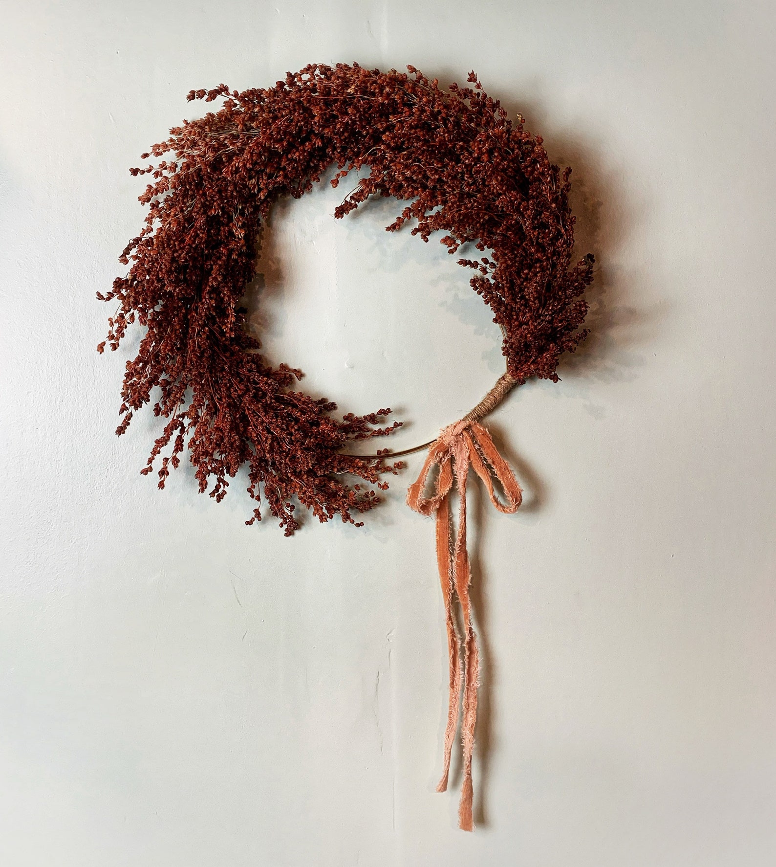 Broom Corn Seed Broomcorn SEEDS Organic - Etsy