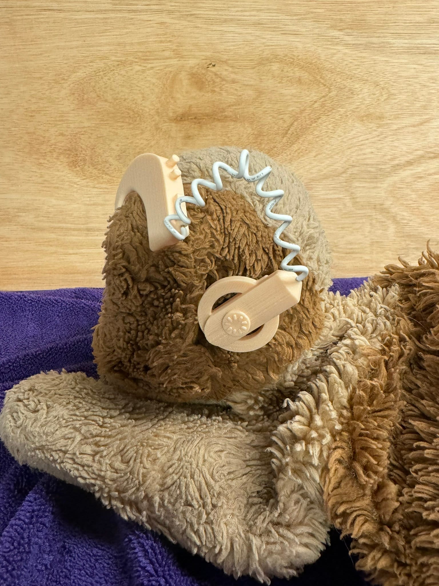 3D Printed Cochlear Implant Replica for Teddies, Inclusive Toy ...