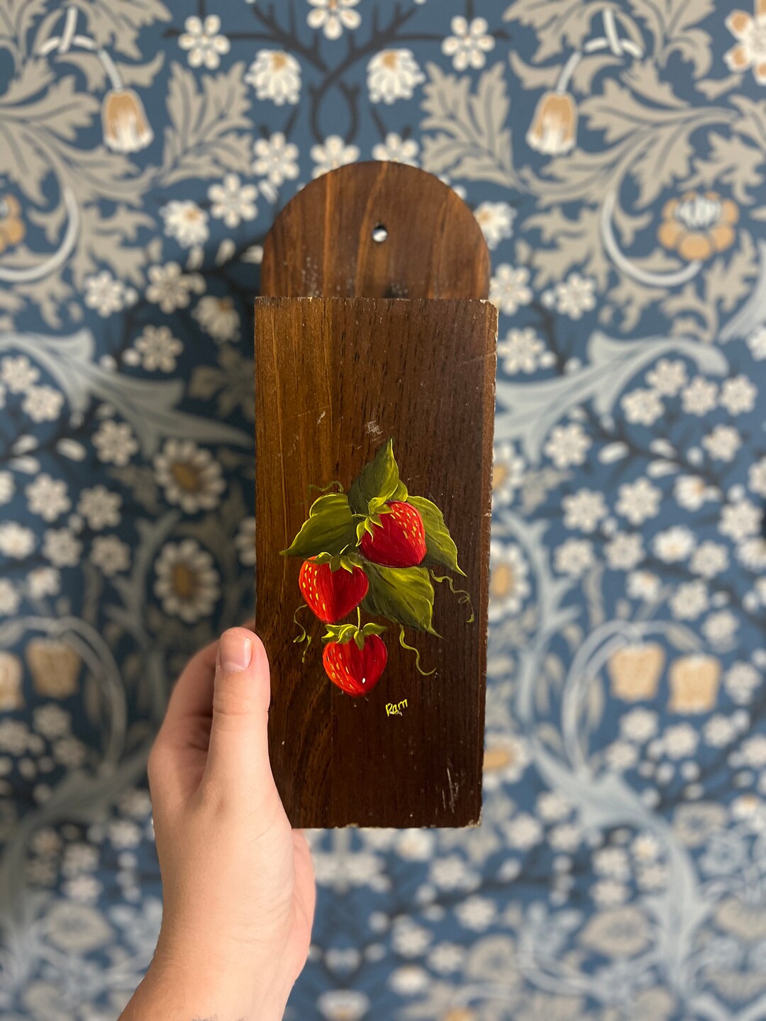 Strawberry Kitchen Decor - Etsy