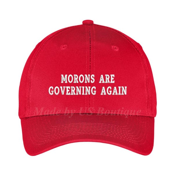 Morons Are Governing America - Etsy