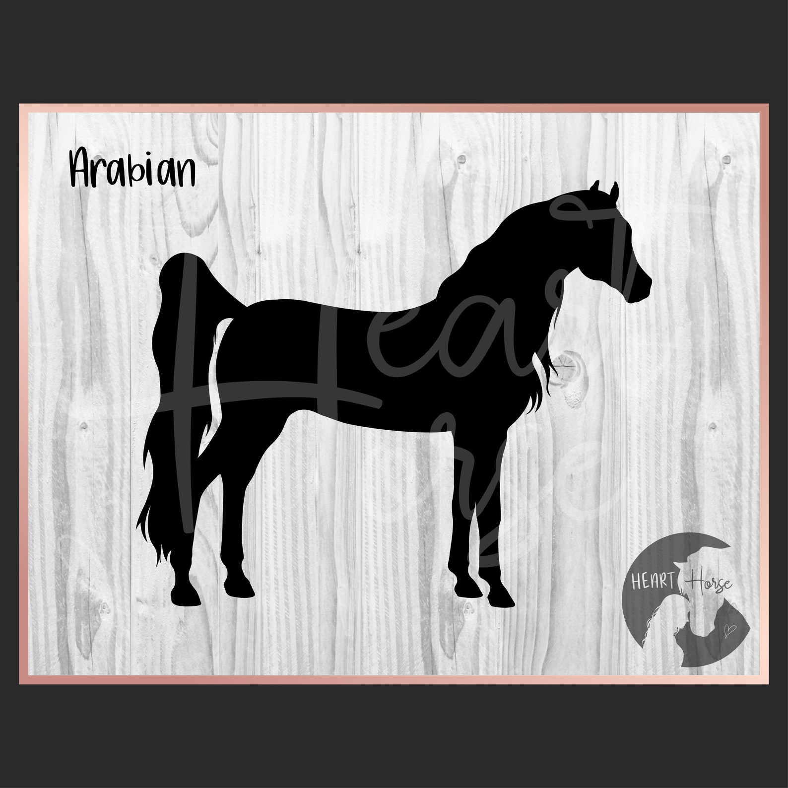 Arabian Horse Svg, Arab Silhouette Svg, Horse Breeds Svg, Horse Cut ...