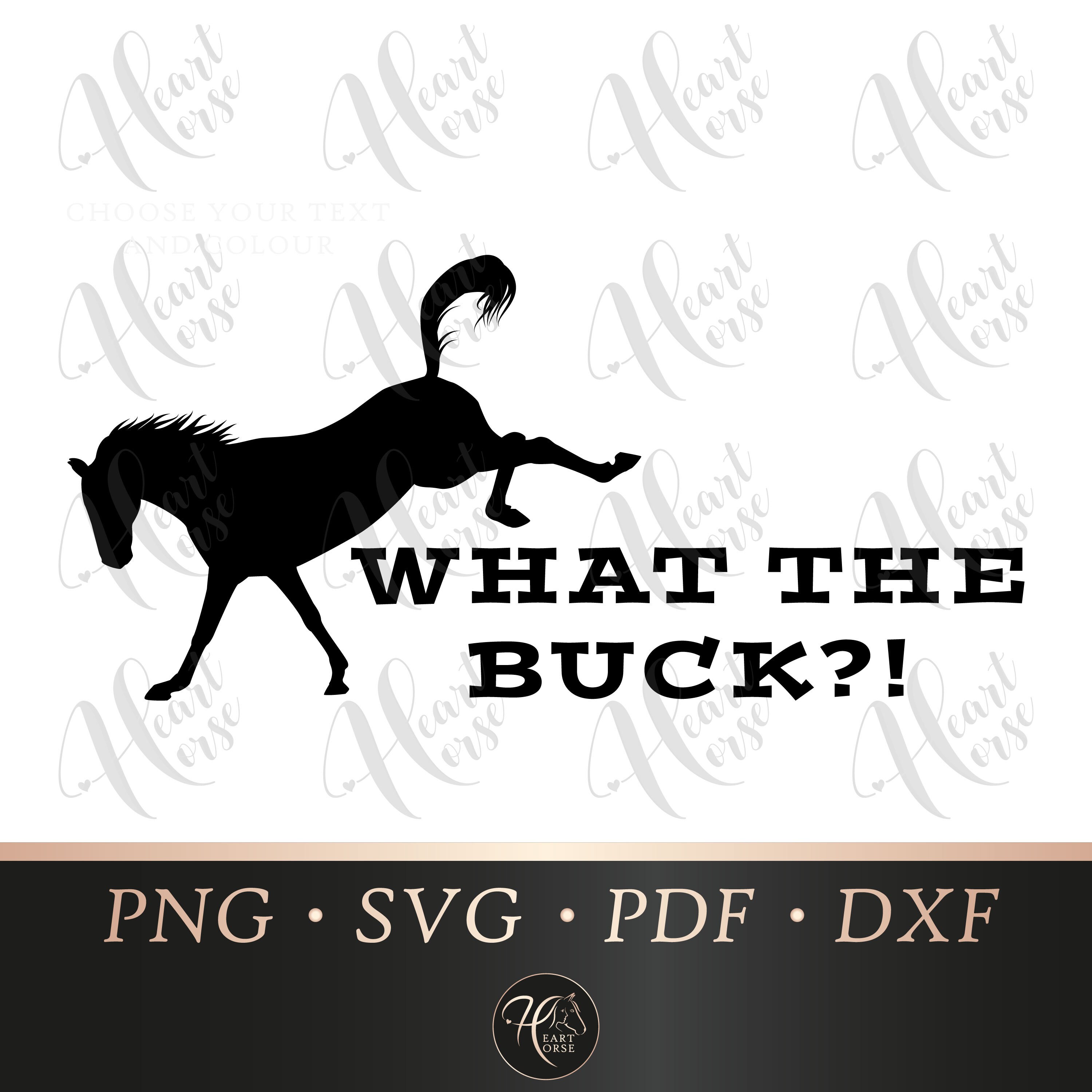 What the Buck Horse Humour Svg, Horse Sayings, Funny Equestrian ...
