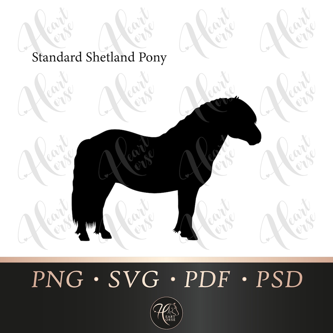Shetland Pony Svg, Pony Silhouette Svg, Horse Breeds Svg, Horse Cricut ...