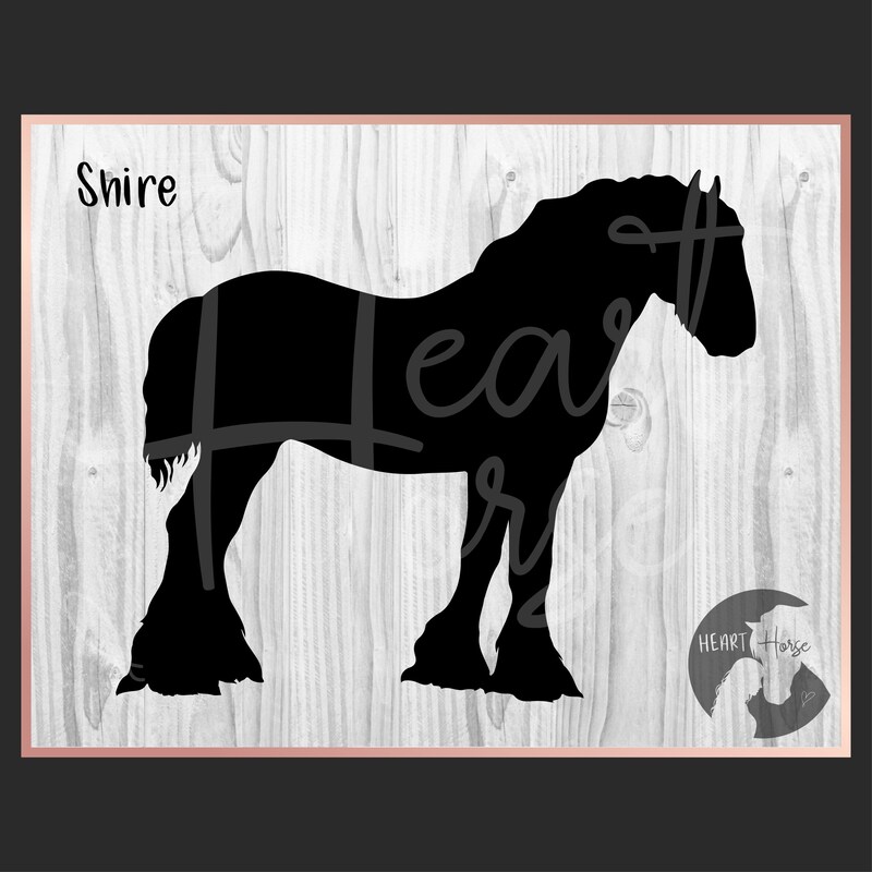 Shire Horses - Etsy