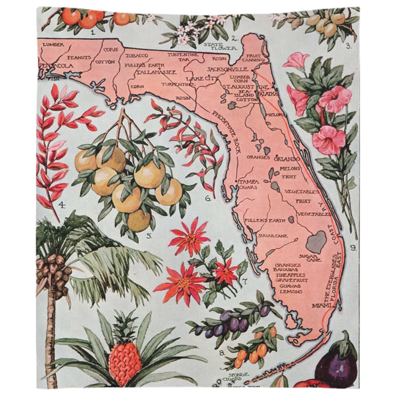 Vintage Florida Map Tapestry (1917) Vegetation Illustrative Atlas - Etsy