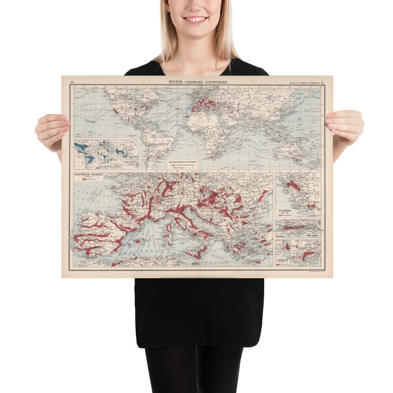 Old World Wine & Vineyards Map 1907 Vintage Viticulture - Etsy