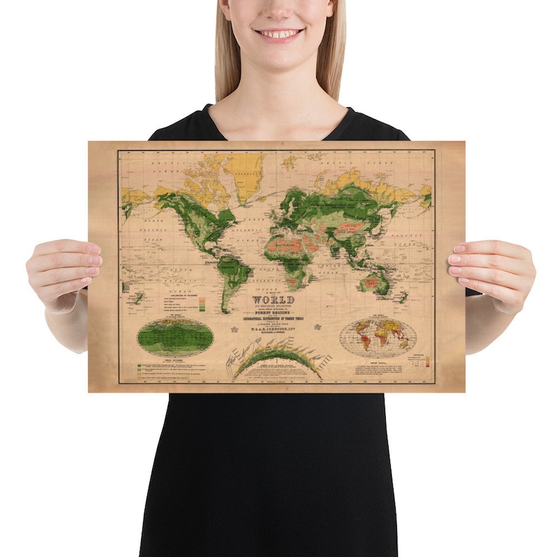 Old World Forest Map (1916) Vintage Global Tree & Vegetation Atlas ...