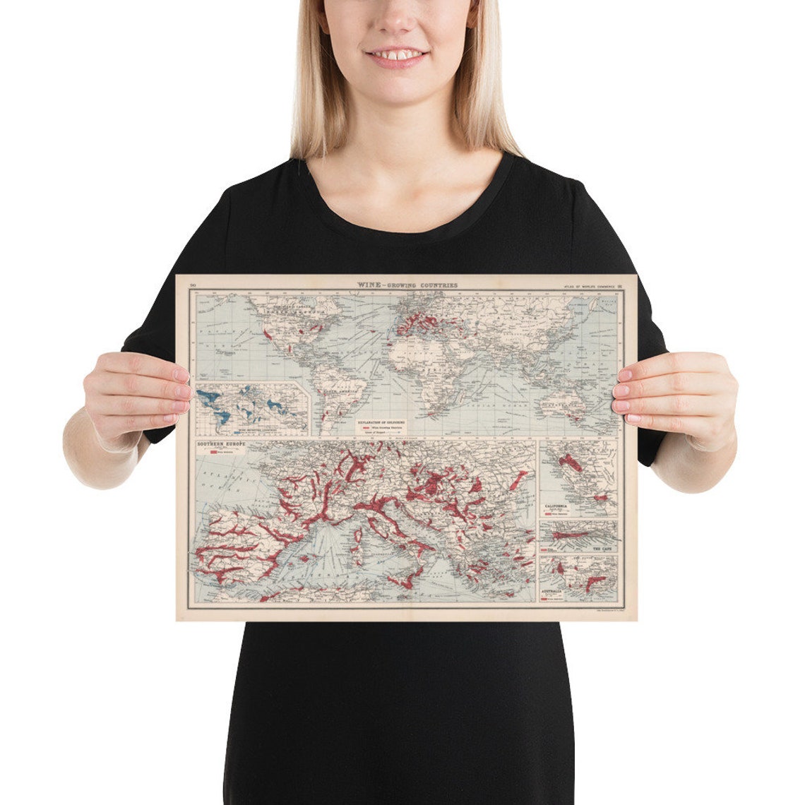 Old World Wine & Vineyards Map 1907 Vintage Viticulture - Etsy