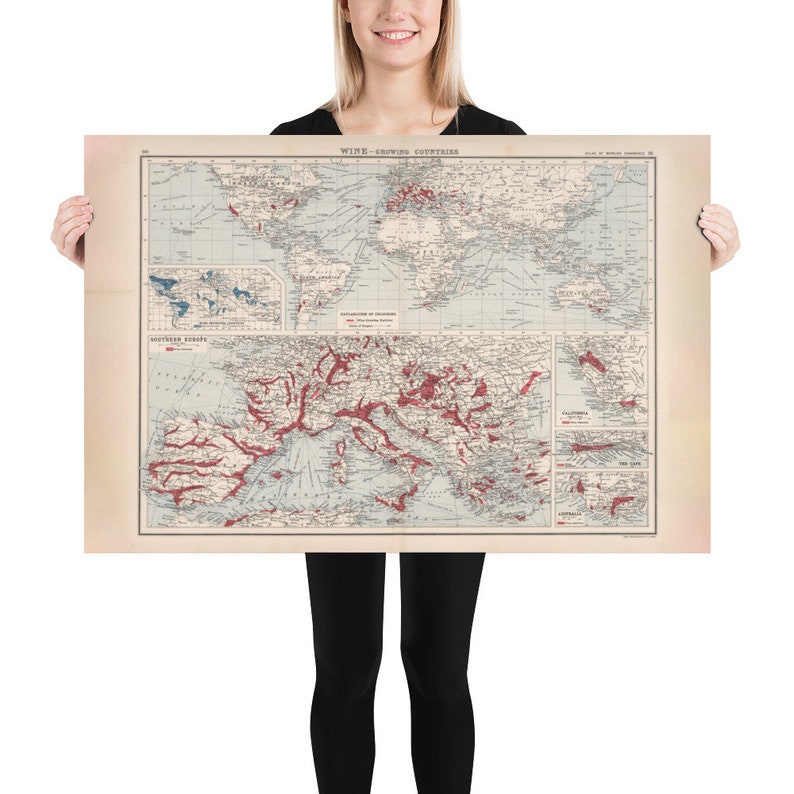 Old World Wine & Vineyards Map 1907 Vintage Viticulture - Etsy