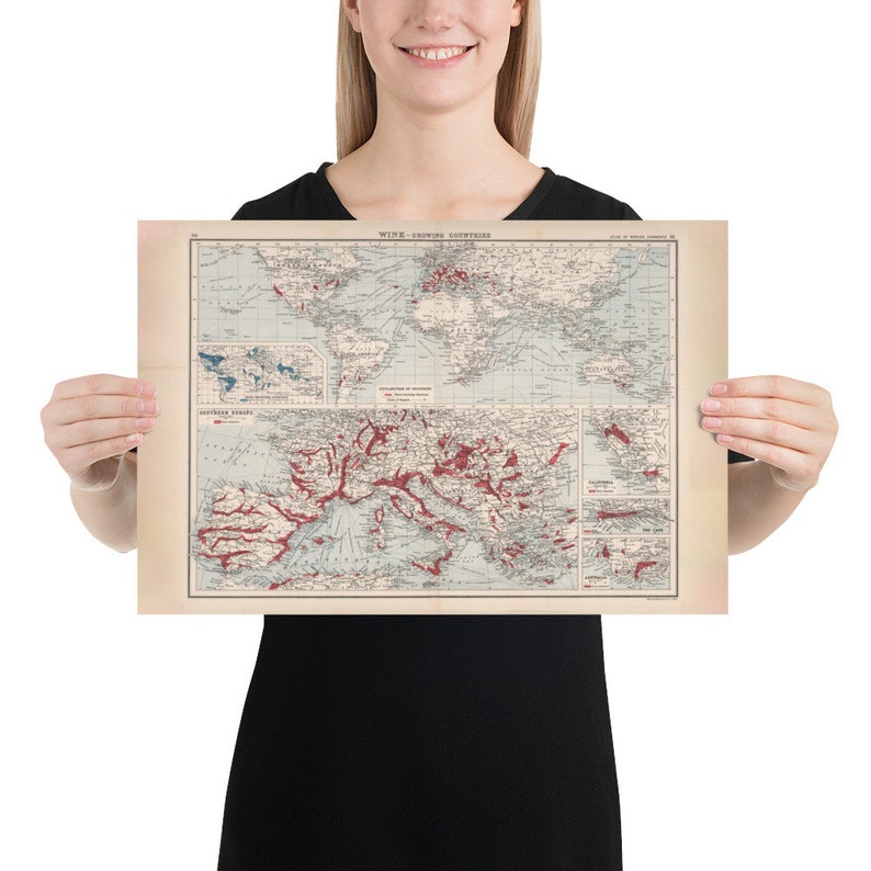 Old World Wine & Vineyards Map 1907 Vintage Viticulture - Etsy