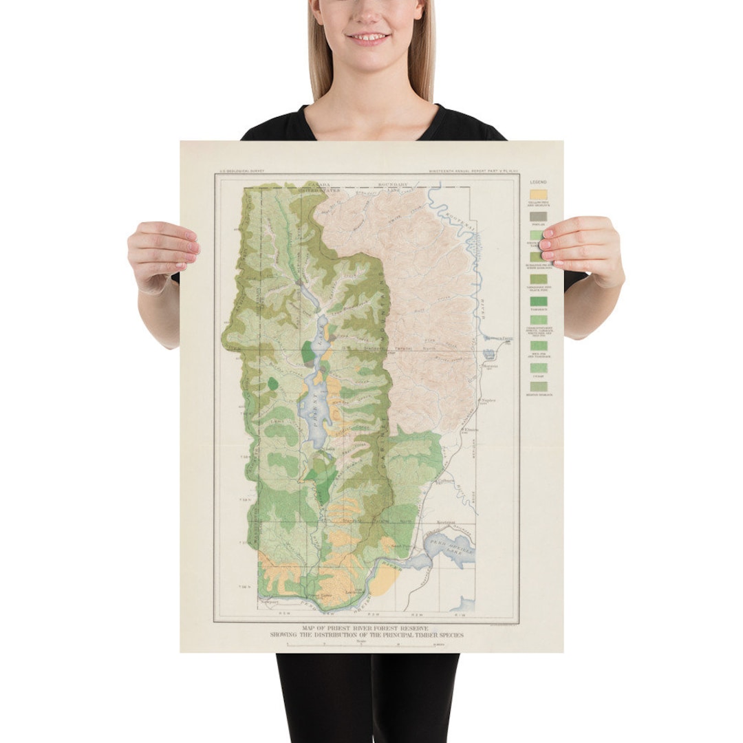 Washington State Forest Map