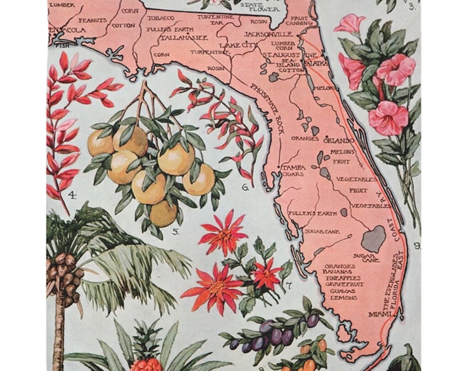 Vintage Florida Map 1870 FL Counties Atlas Poster - Etsy