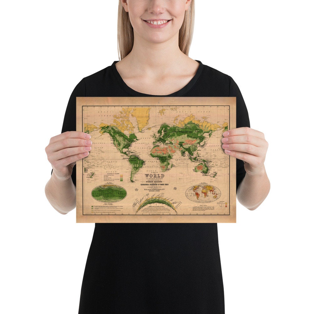 Old World Forest Map (1916) Vintage Global Tree & Vegetation Atlas ...
